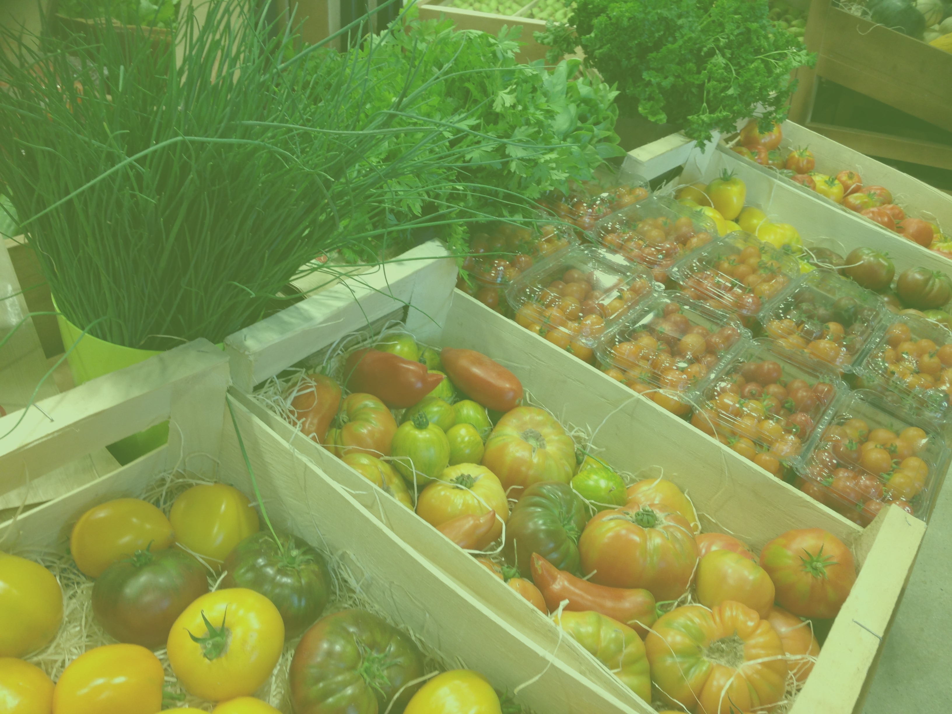 Manger local - Pays de Rennes